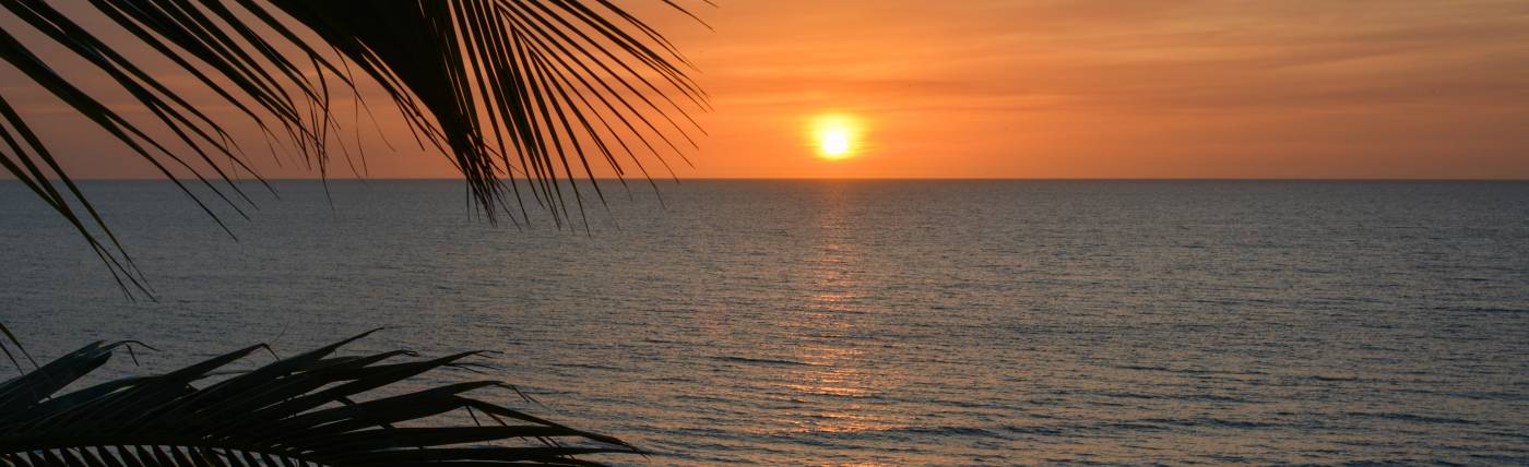 Sarasota Fl Rentals | Island House Beach Resort