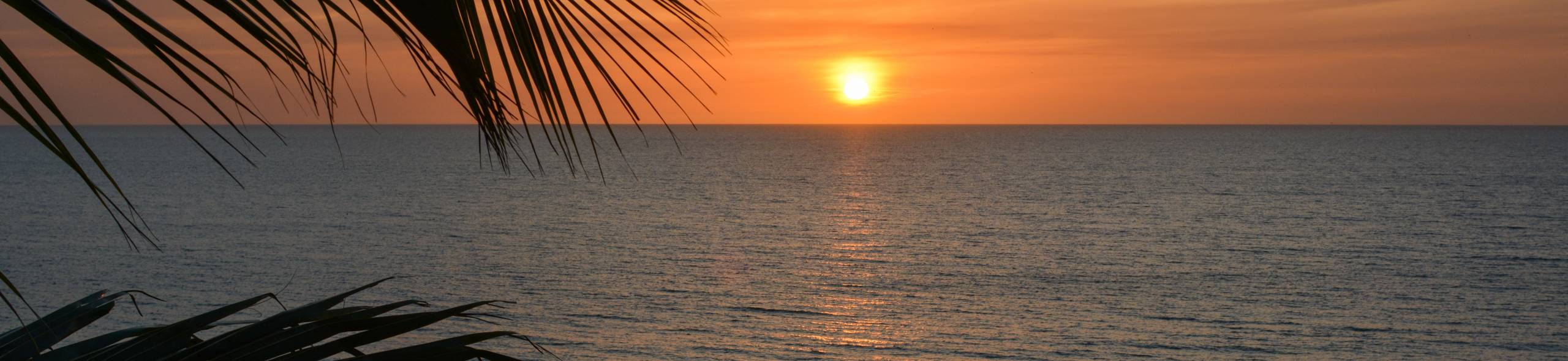 Sarasota Fl Rentals | Island House Beach Resort